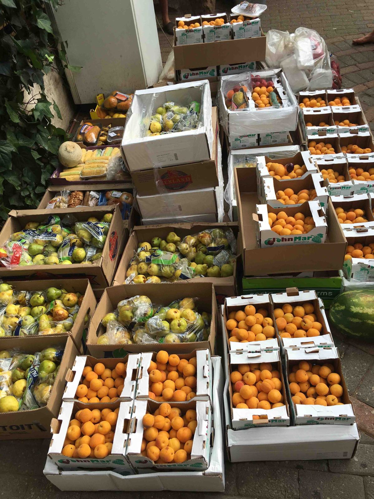 About Us - NOSH Food Rescue NPC